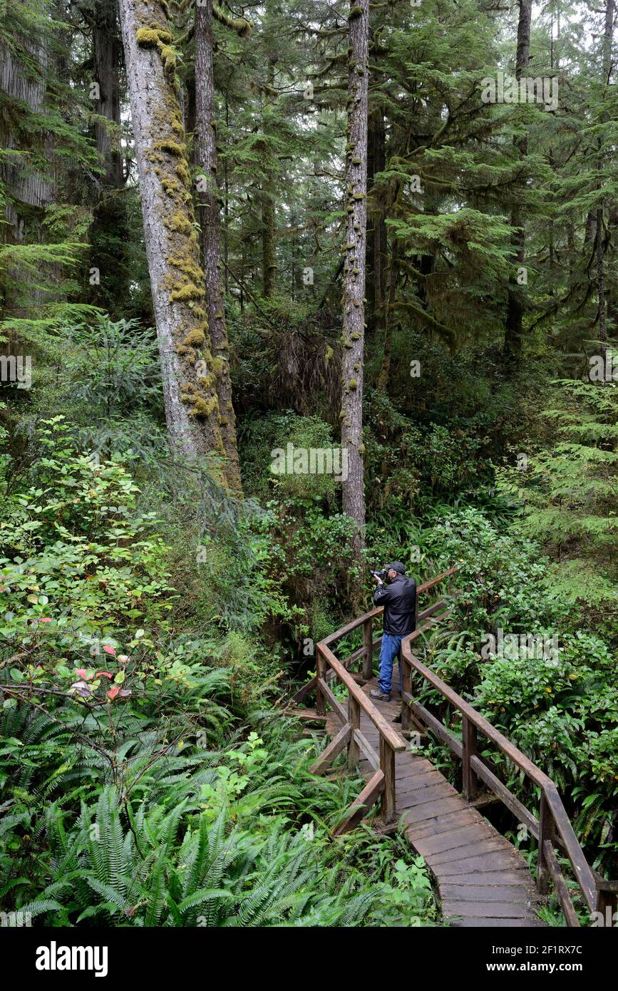 Pacific rim national park boardwalk hi-res stock photography and images ...