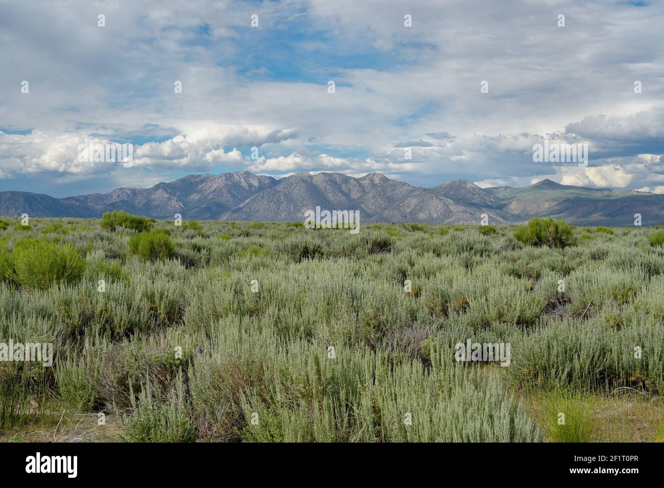 Crowley lake hi-res stock photography and images - Alamy