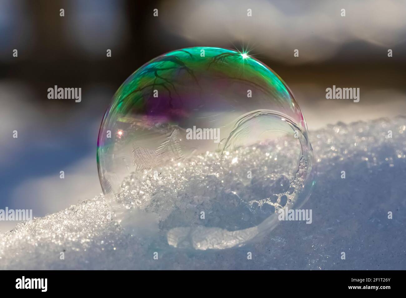 Bubbles, created in winter by the photographer, rapidly form ice ...