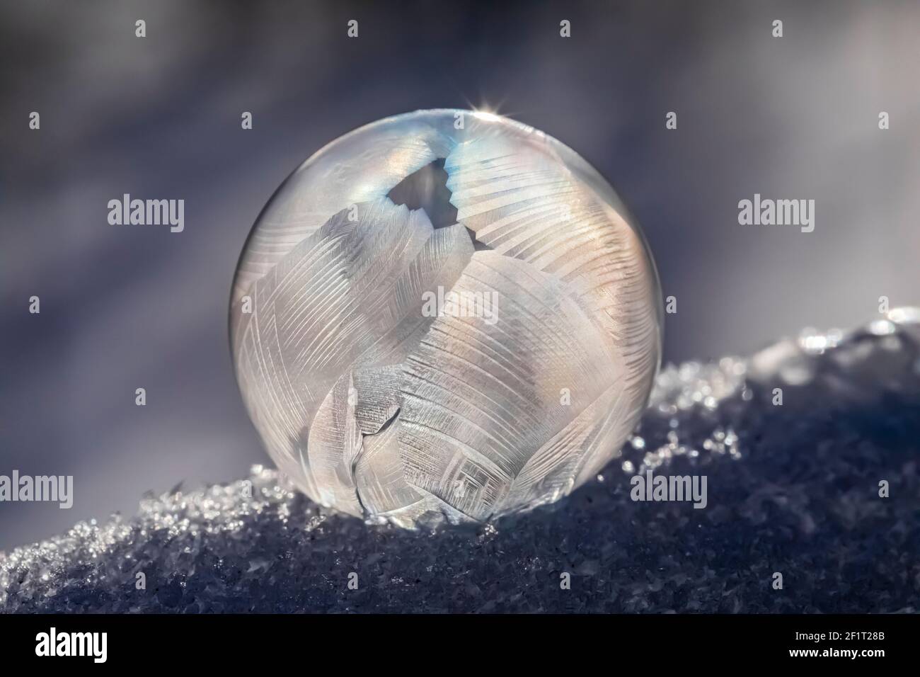 Bubbles, created in winter by the photographer, rapidly form ice ...
