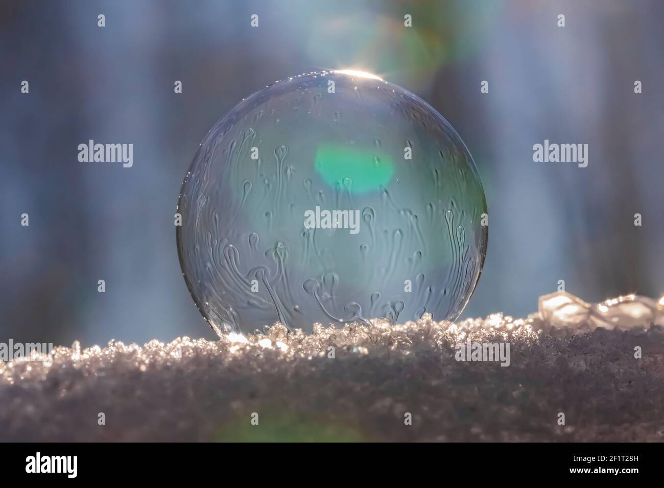 Bubbles, created in winter by the photographer, rapidly form ice ...