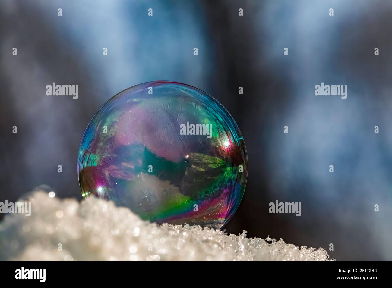 Bubbles, created in winter by the photographer, rapidly form ice ...