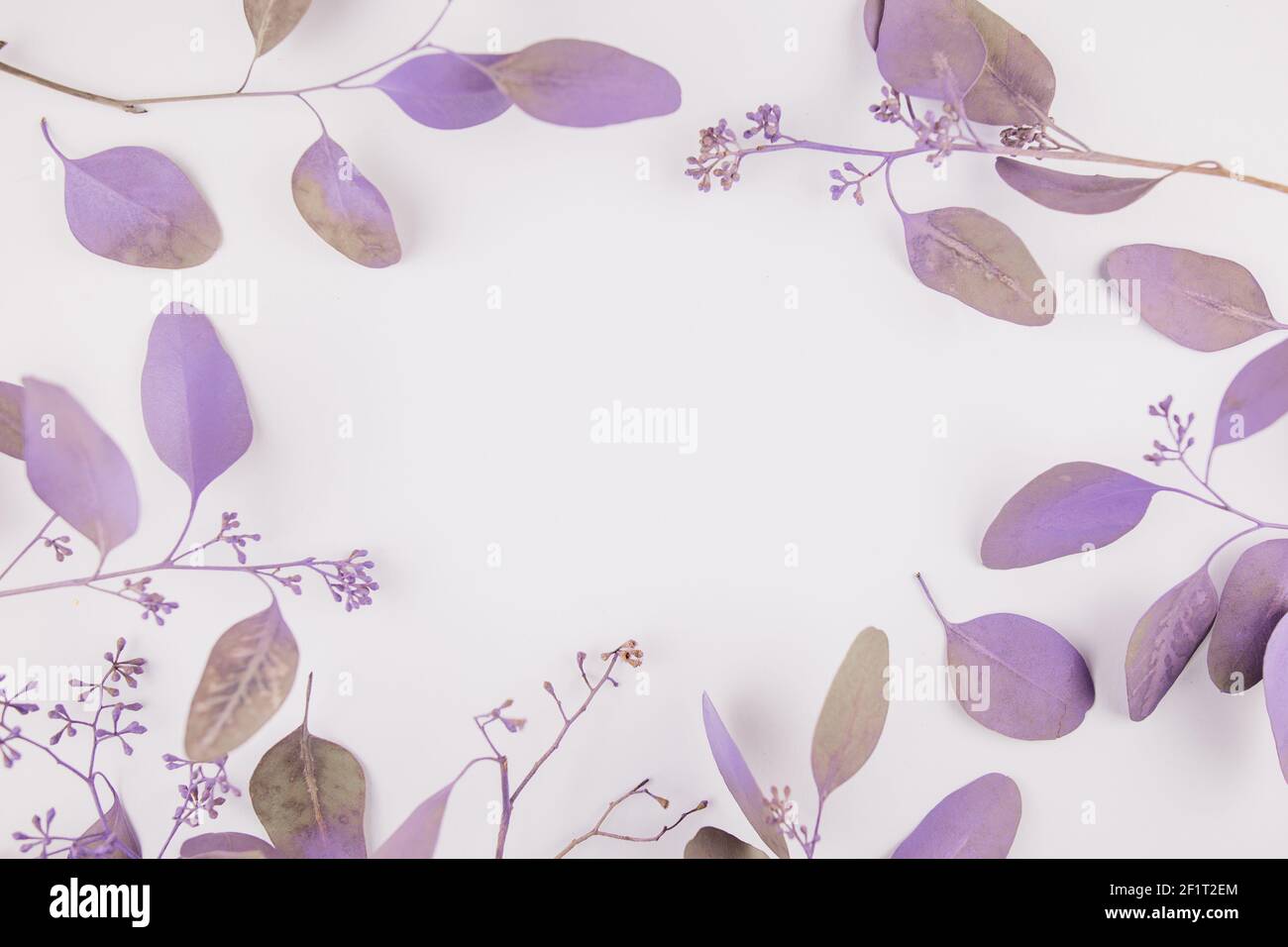 a spring background of beautiful twigs with moldings for decor or ...