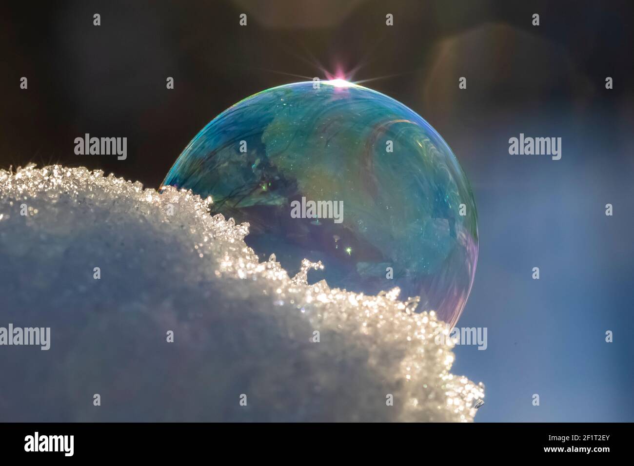 Bubbles, created in winter by the photographer, rapidly form ice ...