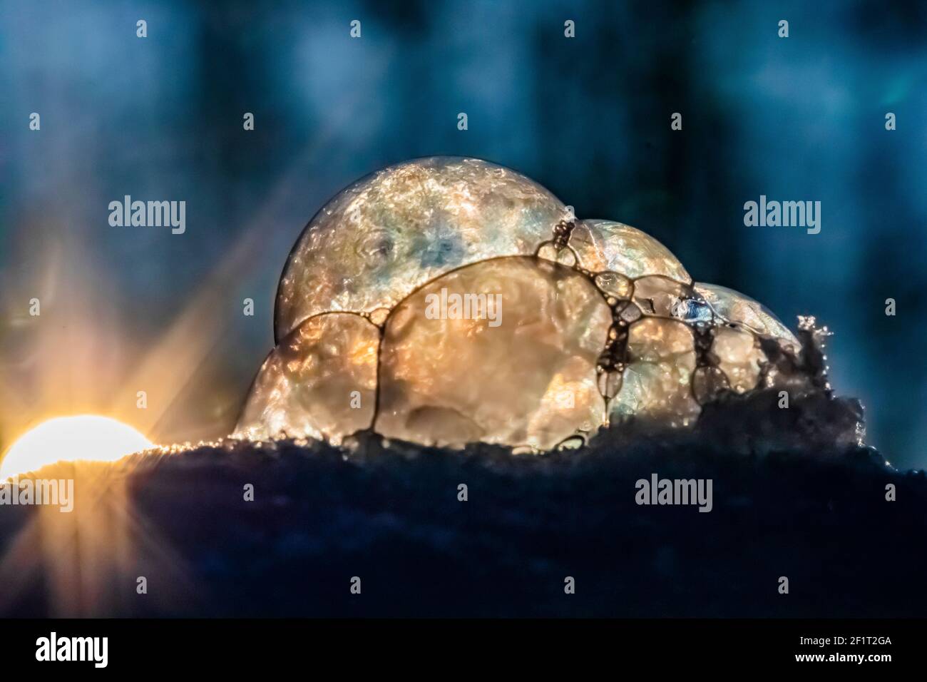 Bubbles, created in winter by the photographer, rapidly form ice ...