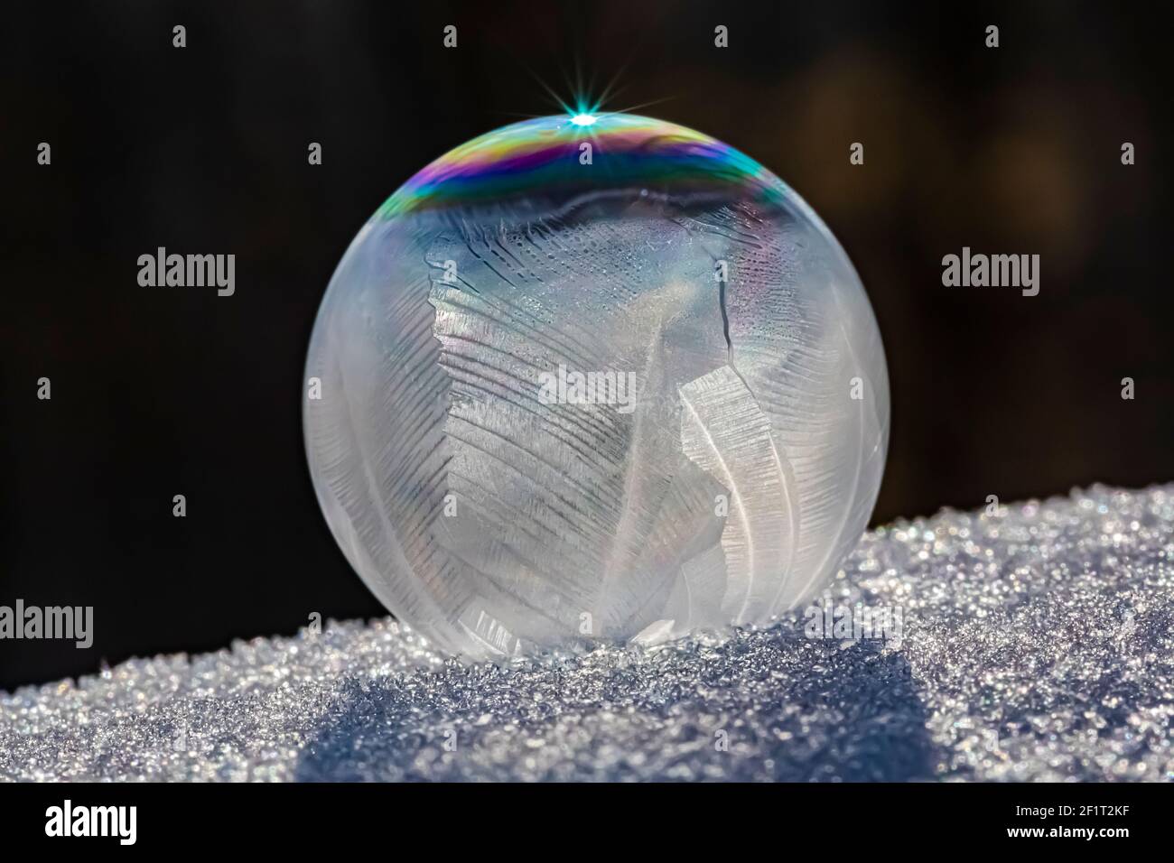 Bubbles, created in winter by the photographer, rapidly form ice ...