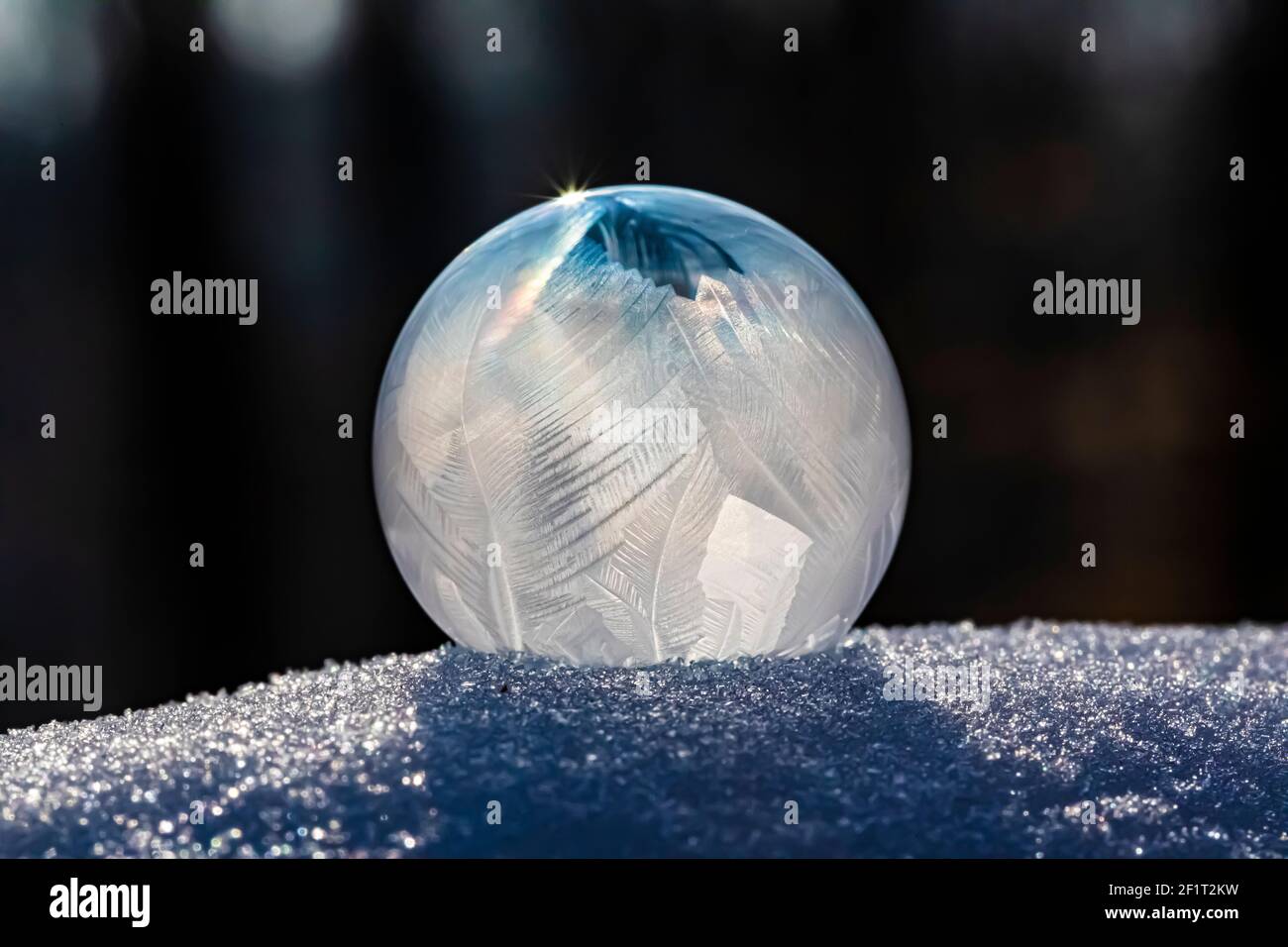 Bubbles, created in winter by the photographer, rapidly form ice ...