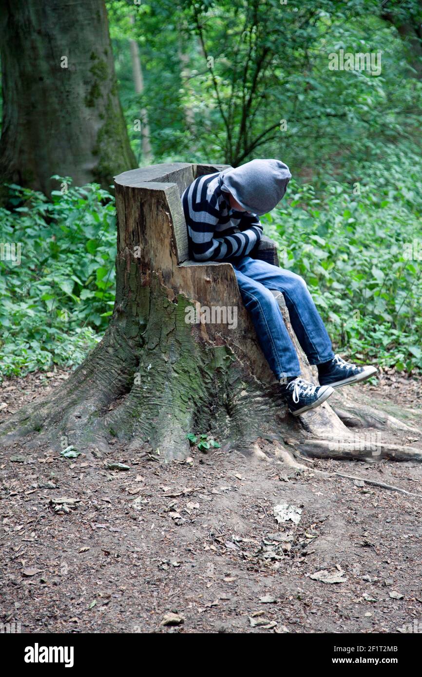 Tree trunk cut out hi-res stock photography and images - Alamy