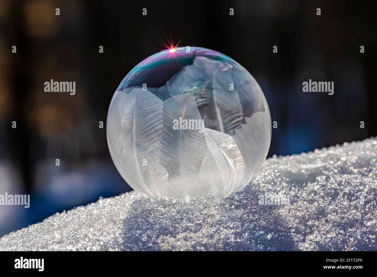Bubbles, created in winter by the photographer, rapidly form ice ...