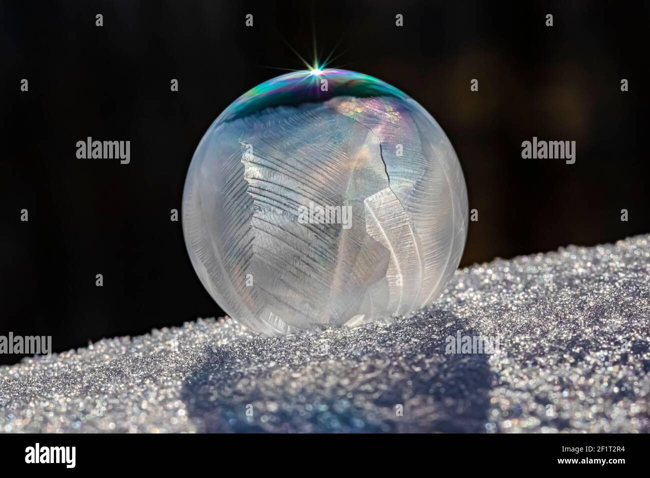 Bubbles, created in winter by the photographer, rapidly form ice ...