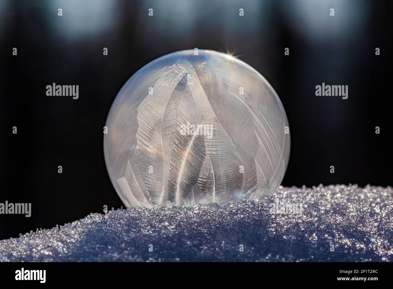 Bubbles, created in winter by the photographer, rapidly form ice ...