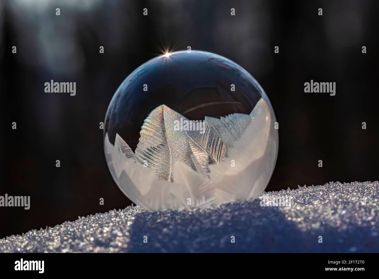 Bubbles, created in winter by the photographer, rapidly form ice ...