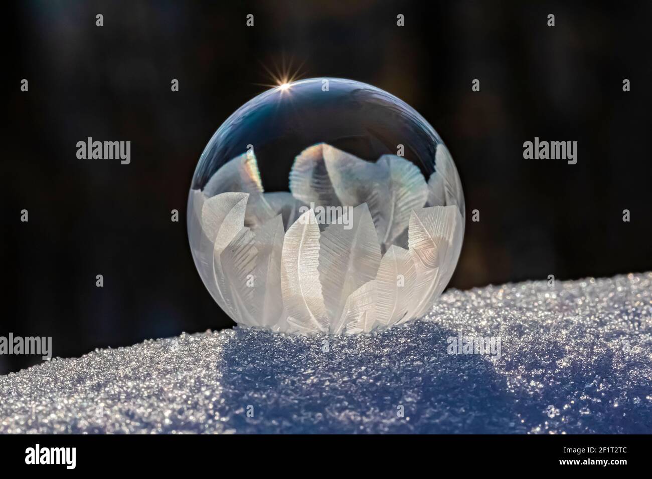 Bubbles, created in winter by the photographer, rapidly form ice ...
