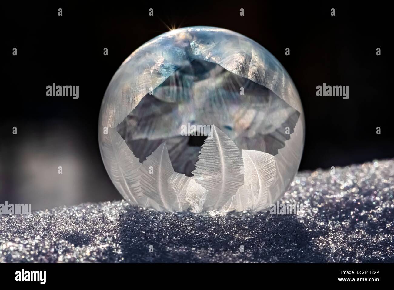 Bubbles, created in winter by the photographer, rapidly form ice ...