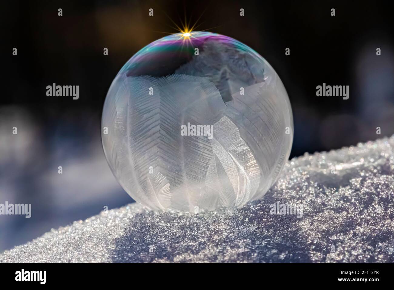 Bubbles, created in winter by the photographer, rapidly form ice ...
