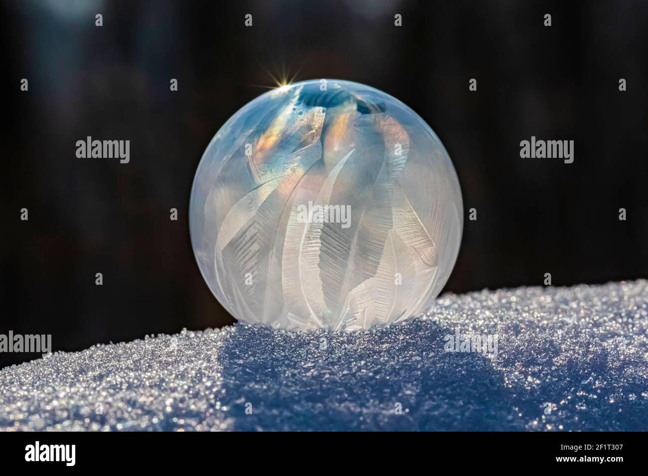 Bubbles, created in winter by the photographer, rapidly form ice ...