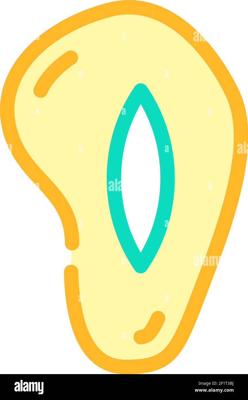 cut mango food color icon vector illustration Stock Vector Image & Art ...