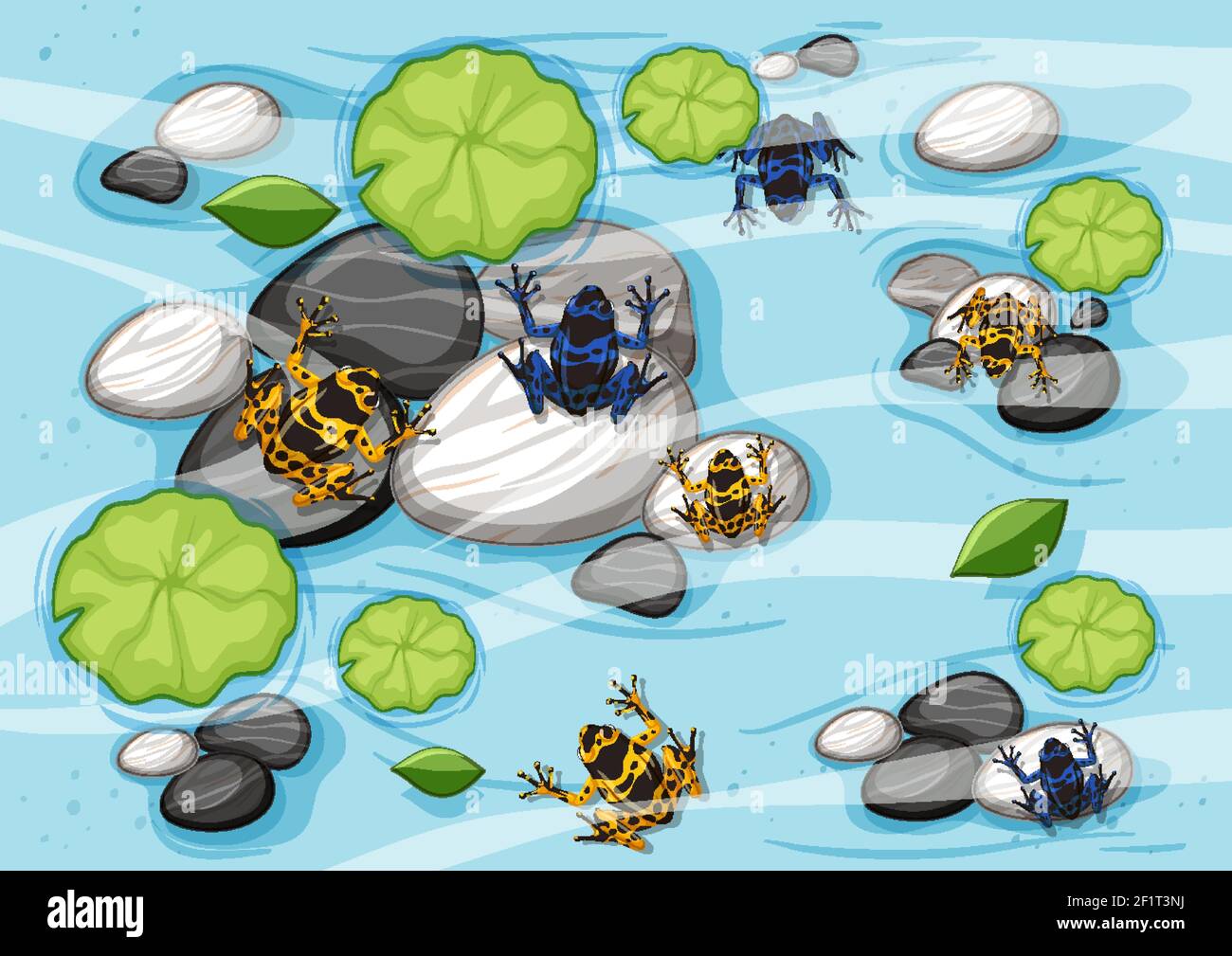 Many exotic frogs in the pond scene illustration Stock Vector Image ...