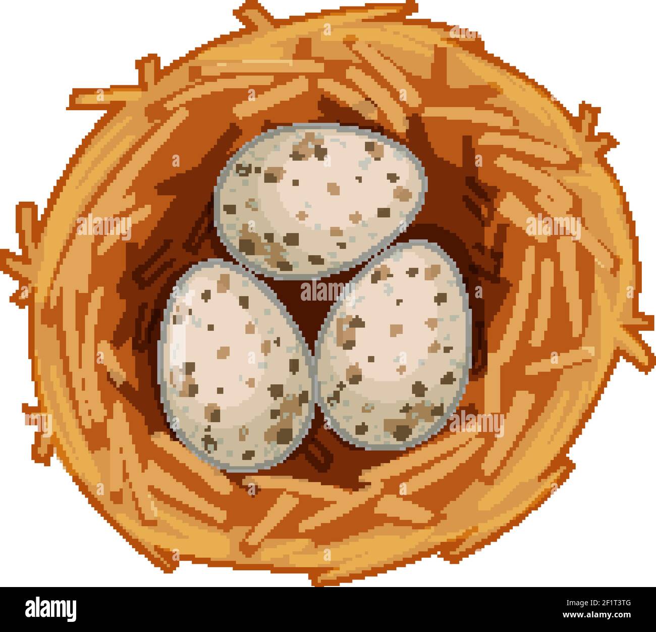 Many eggs of bird on the nest isolated on white background illustration ...