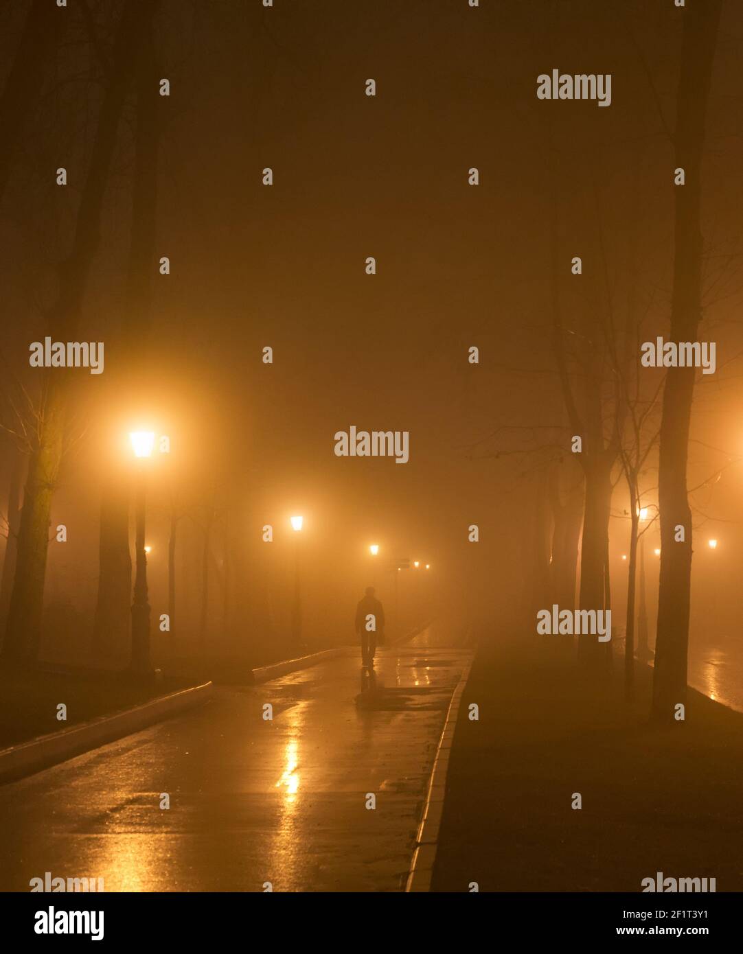 Man park fog mist night Stock Photo - Alamy