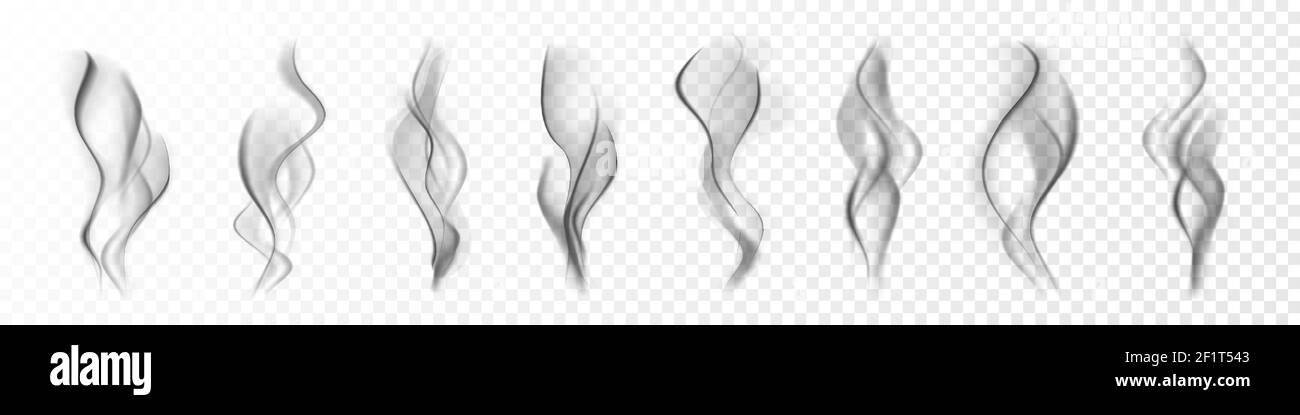 Realistic cigarette smoke. Vapor in air, steam flow. Fog, mist effect ...