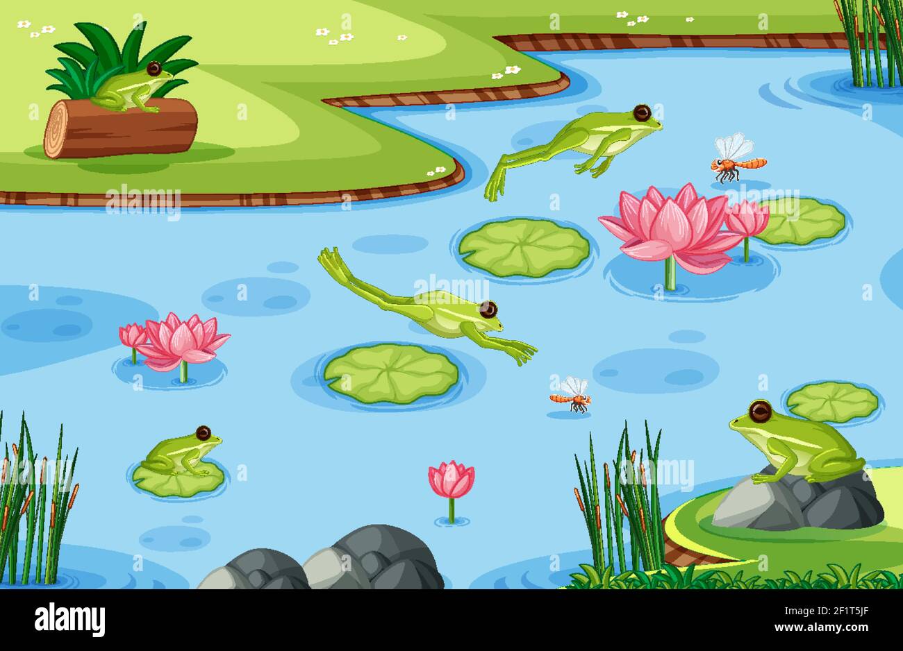Many green frogs in the pond scene illustration Stock Vector Image ...
