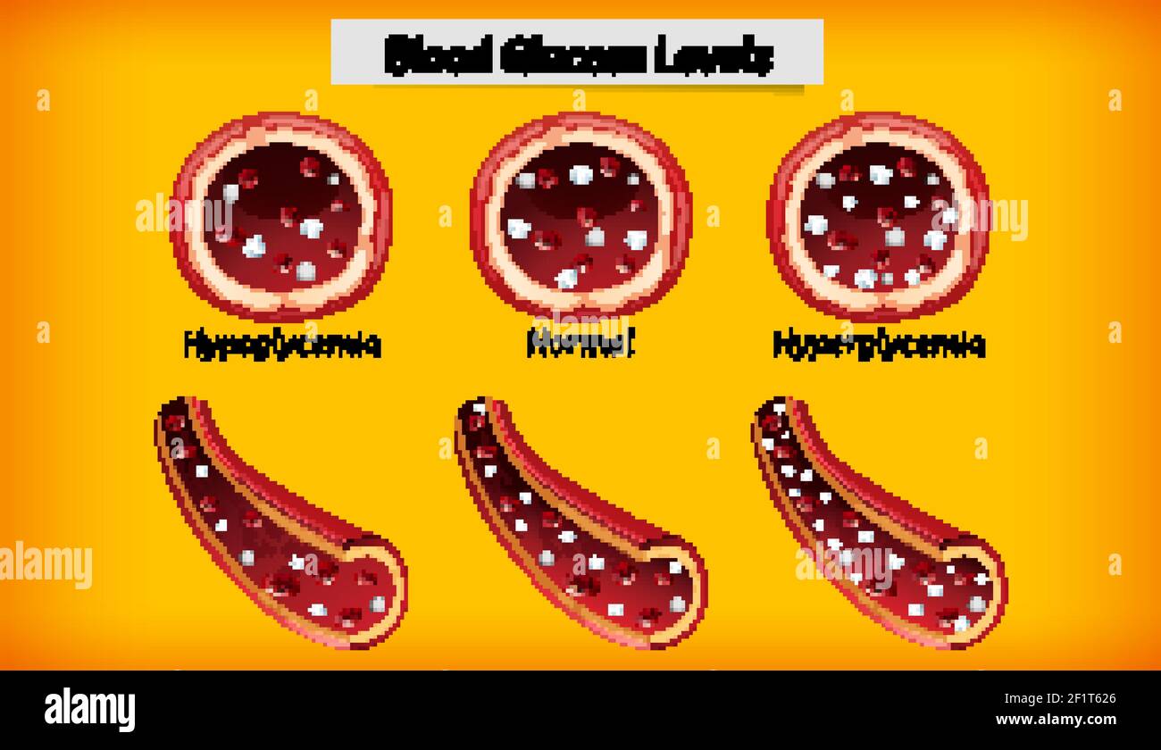 Medical blood glucose level illustration Stock Vector Image & Art - Alamy