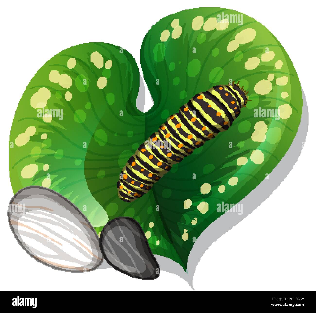 Caterpillar on plants Stock Vector Images - Alamy