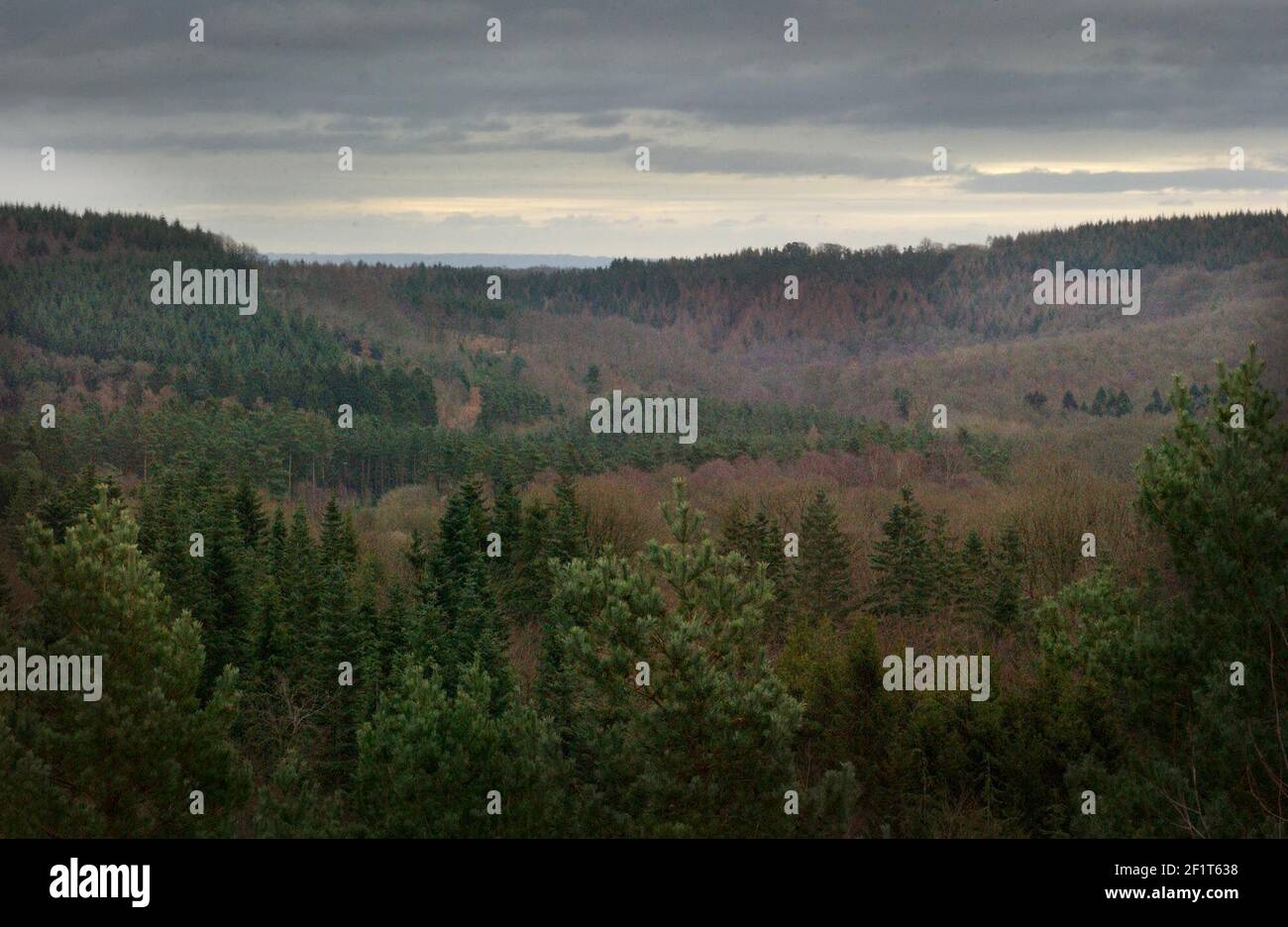 A LANDSCAPE FOR GOSHAWKS FROM THE OBSERVATION POINT AT NEW FANCY VIEW ...