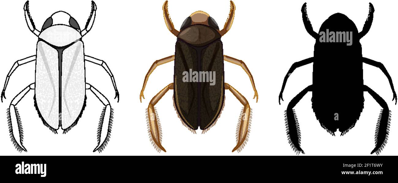 Set of water boatman in three style on white background illustration ...