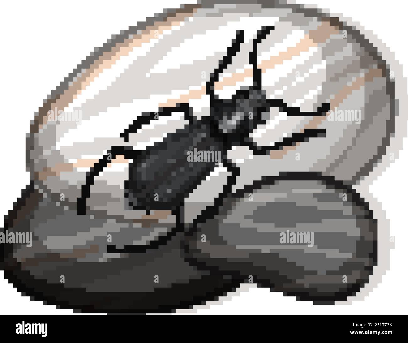 Top view of insect on a stone on white background illustration Stock ...