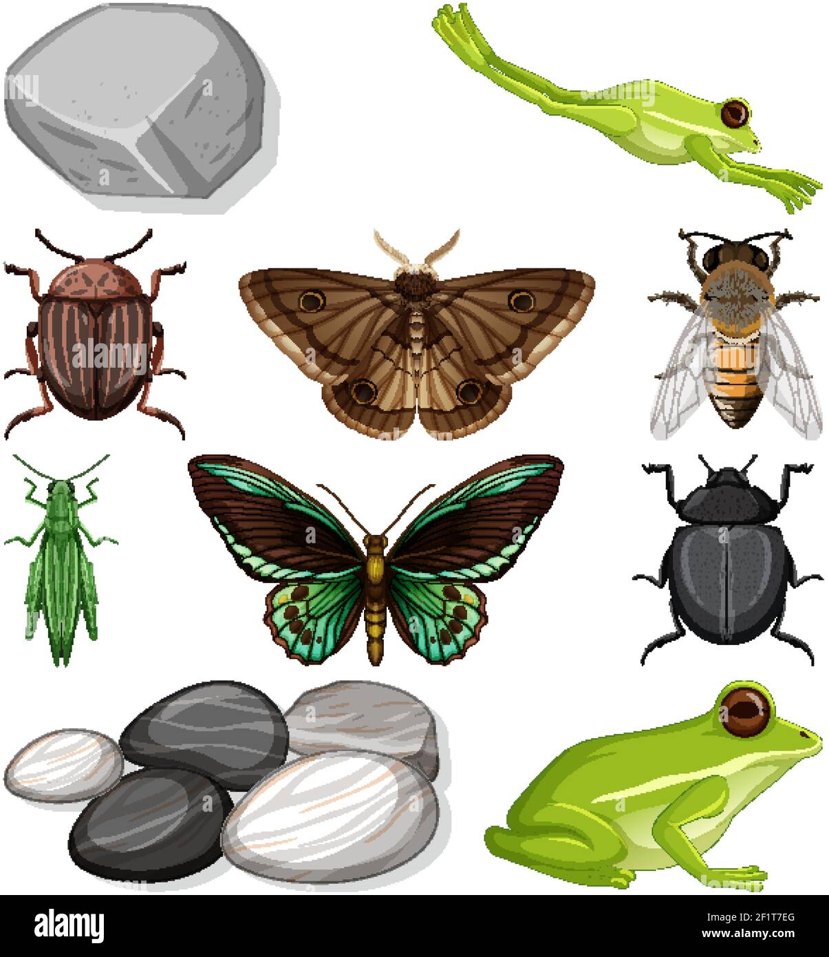 Different types of insect with nature elements illustration Stock ...