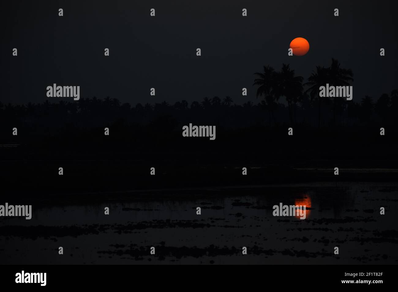 A beautiful shot of the red blood moon over the tropical beach at night ...