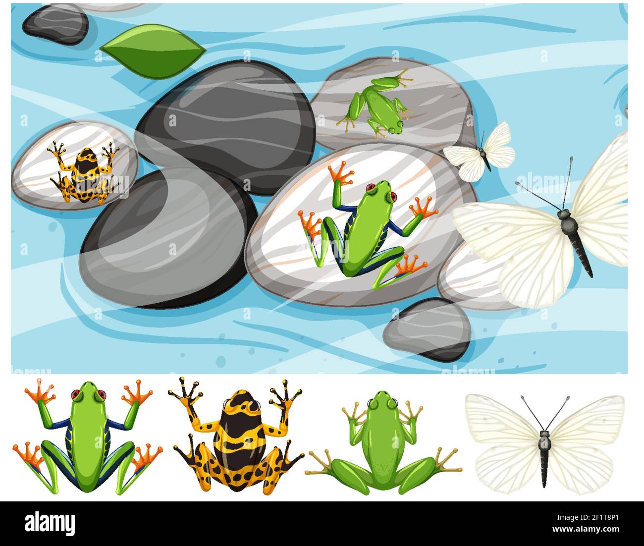Frog top view Stock Vector Images - Alamy