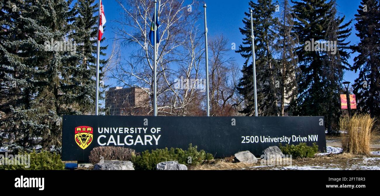 University of Calgary Stock Photo - Alamy