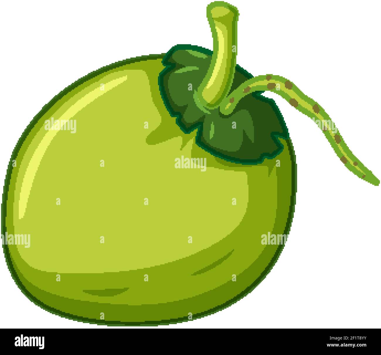 Simple coconut on white background illustration Stock Vector Image ...