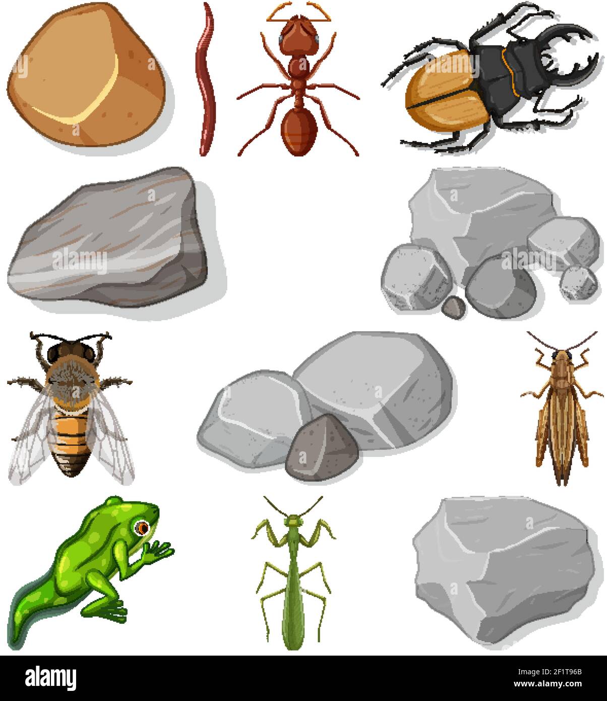 Different types of insect with nature elements illustration Stock ...