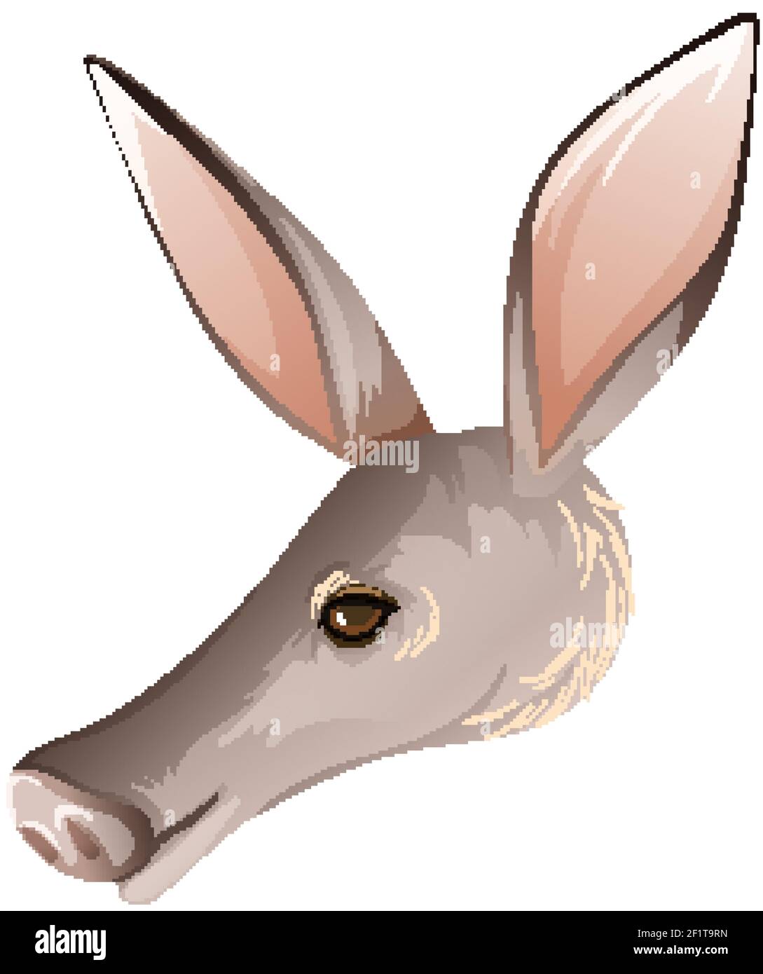 Aardvark Africa native animal head on white background illustration ...