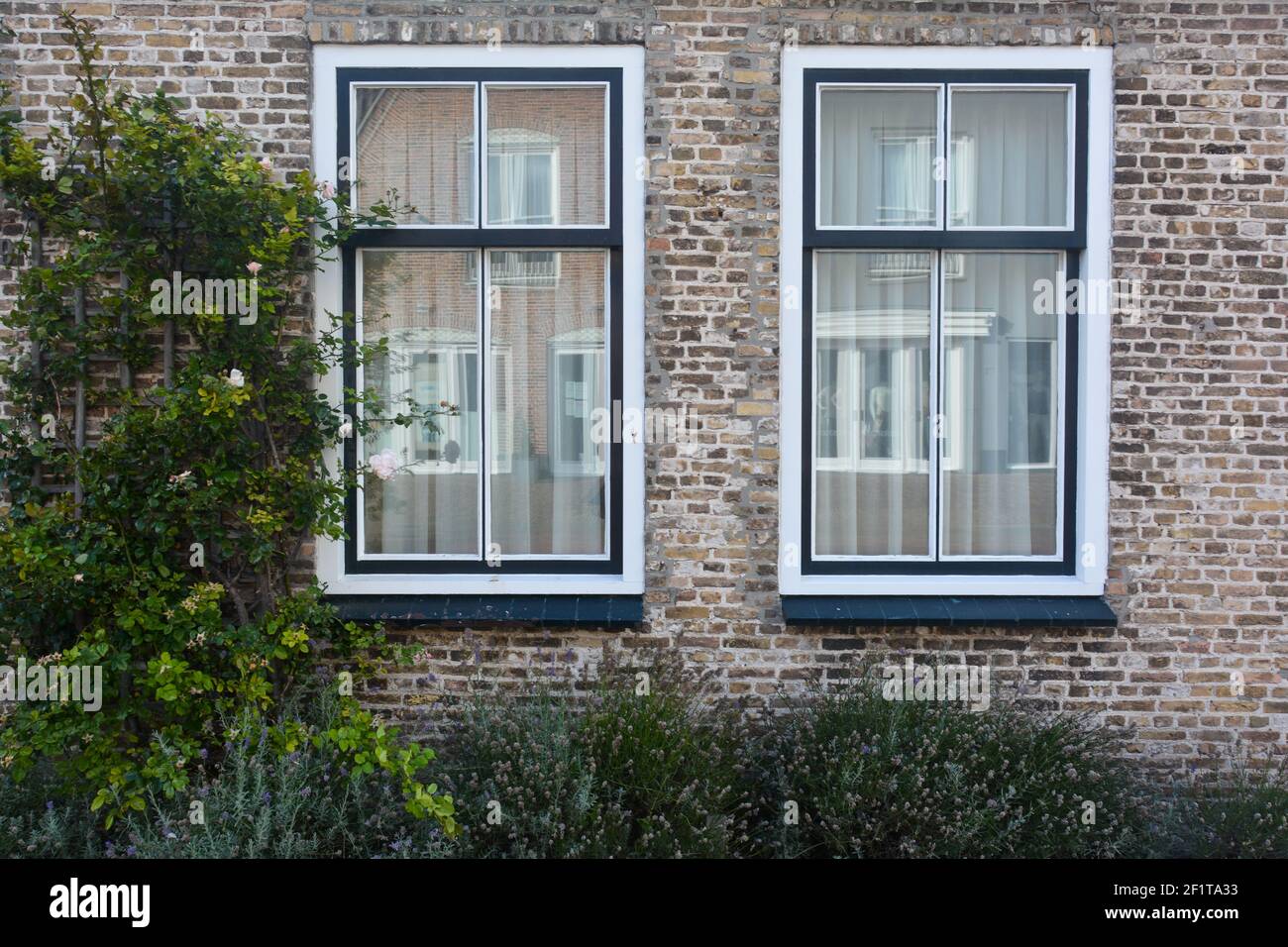 Window on a house in the Netherlands with green plants Stock Photo - Alamy