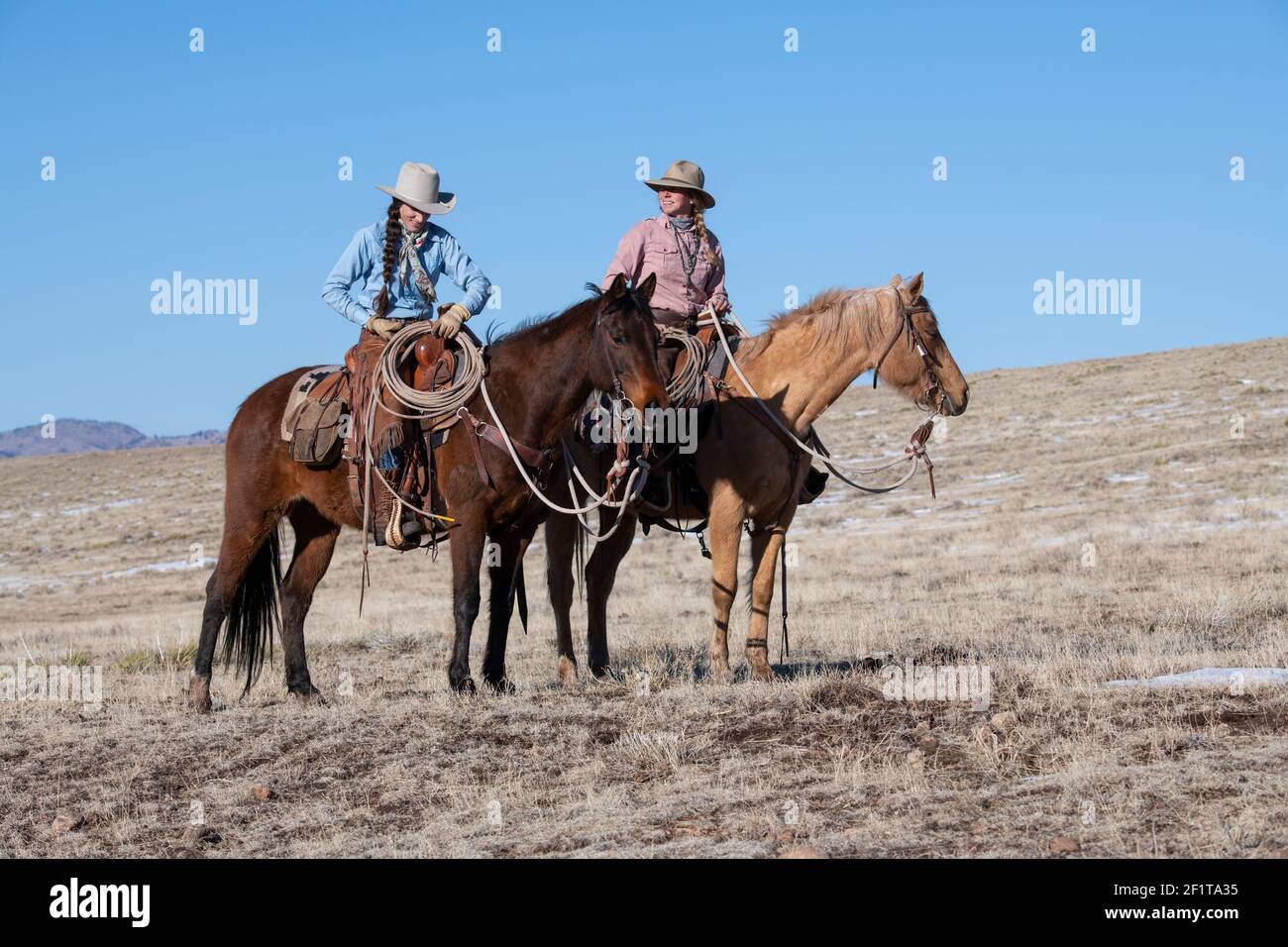 USA, Colorado, Custer County, Westcliffe, Music Meadows Ranch. Female ...