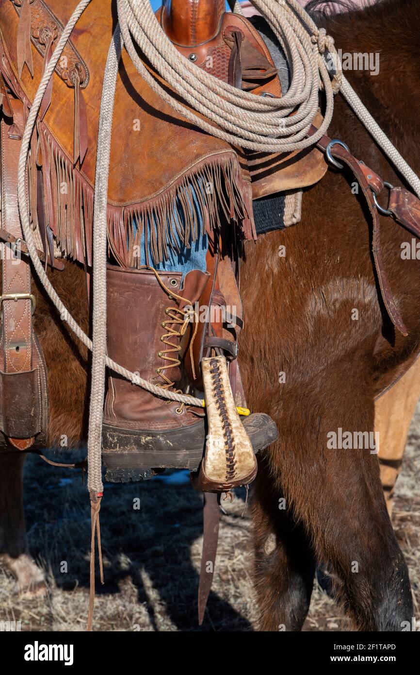 Cowgirl chaps hi-res stock photography and images - Alamy