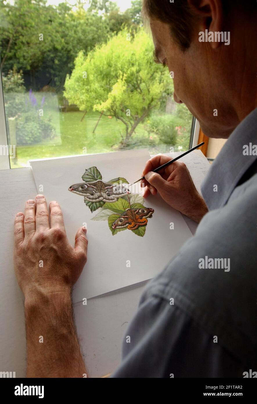 Richard lewington hi-res stock photography and images - Alamy