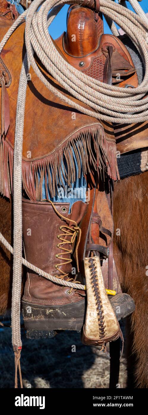 Cowgirl chaps hi-res stock photography and images - Alamy