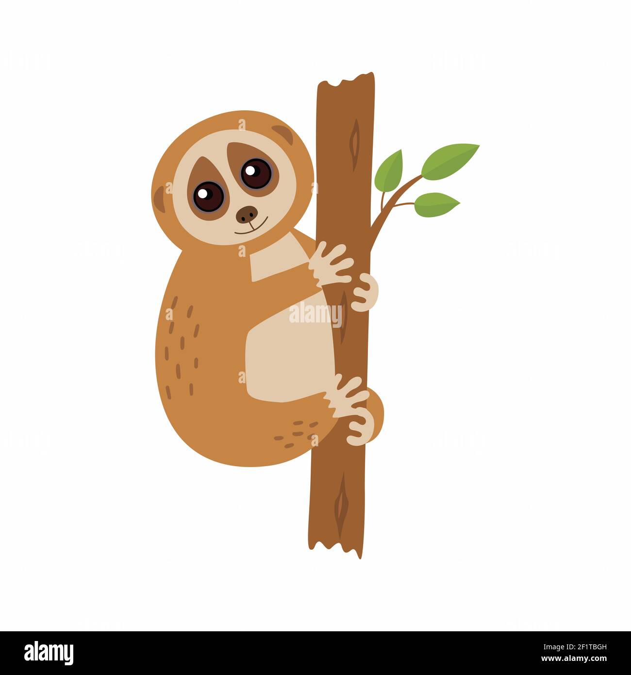 Lori portrait Cut Out Stock Images & Pictures - Alamy