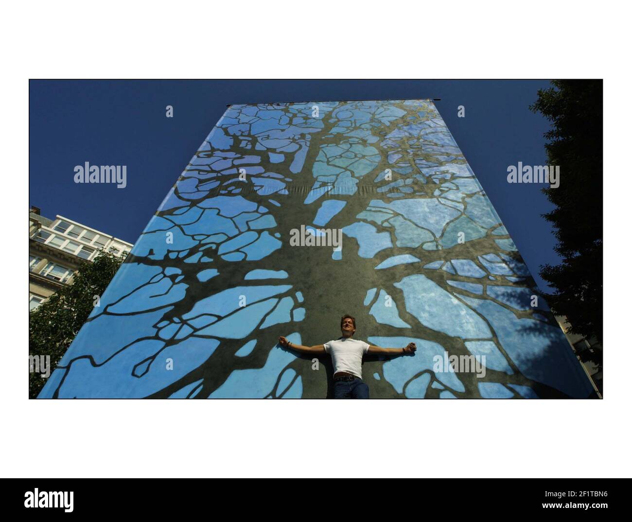 Contemporary British artist Adam Ball presents The Tree one of the ...