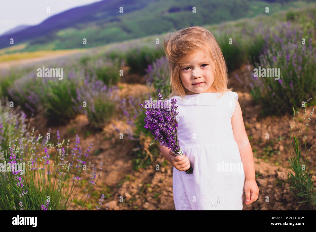 Pacifying nature hi-res stock photography and images - Alamy
