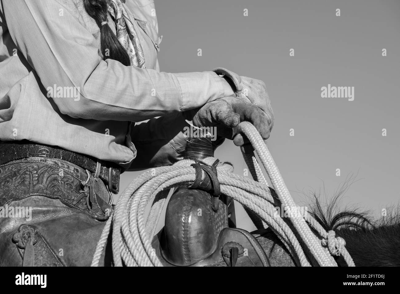 USA, Colorado, Custer County, Westcliffe, Music Meadows Ranch. Detail ...