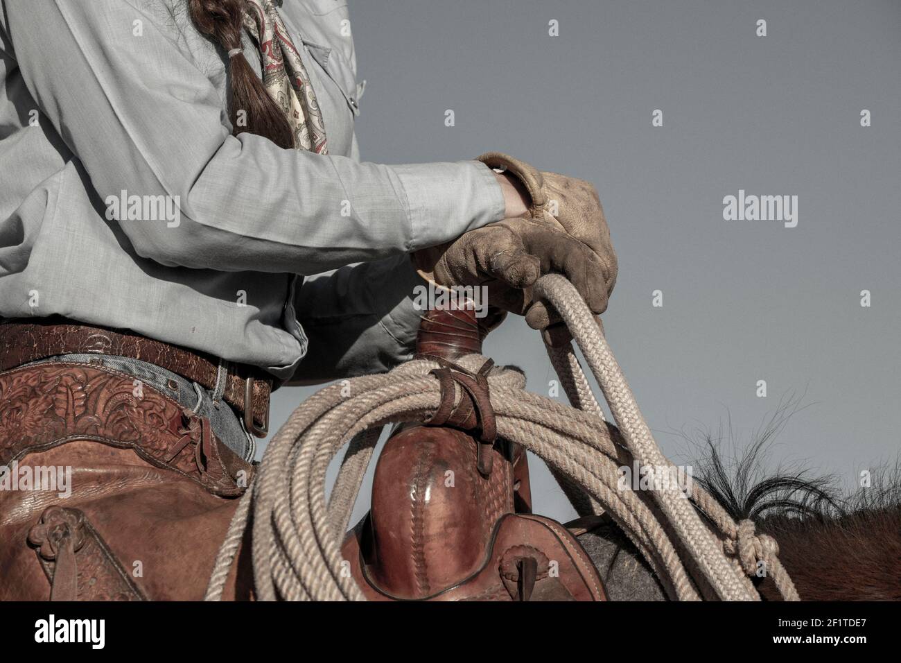 USA, Colorado, Custer County, Westcliffe, Music Meadows Ranch. Detail ...