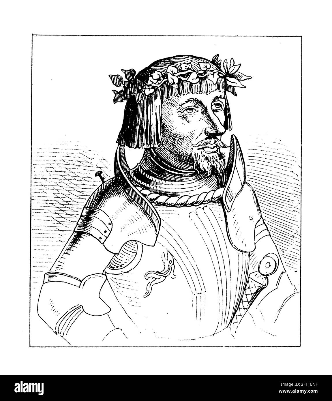 Vintage illustration of a portrait of Ulrich von Hutten, German ...