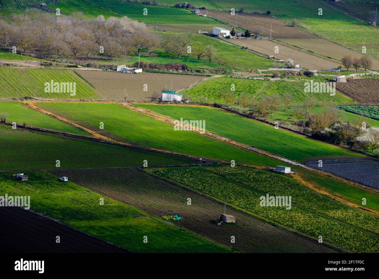 Hiking in the mountains above Zafarraya pass, Andalucía, Spain, Europe ...
